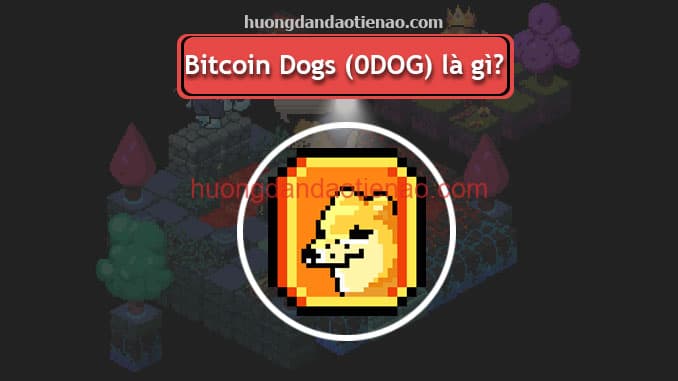 Bitcoin Dogs (0DOG Coin) là gì? Thông tin về 0DOG Coin