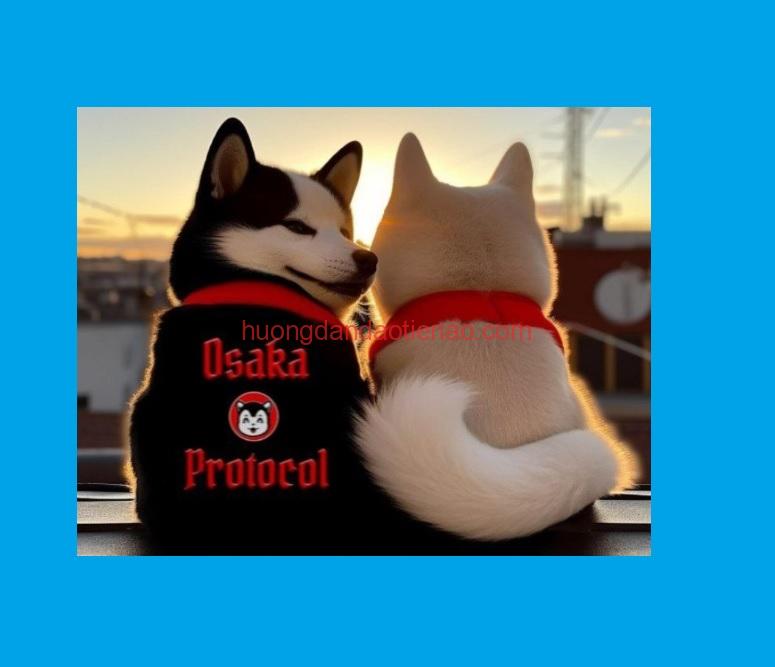 Osaka Protocol (OSAK) là gì? Tìm hiểu Meme Coin OSAK