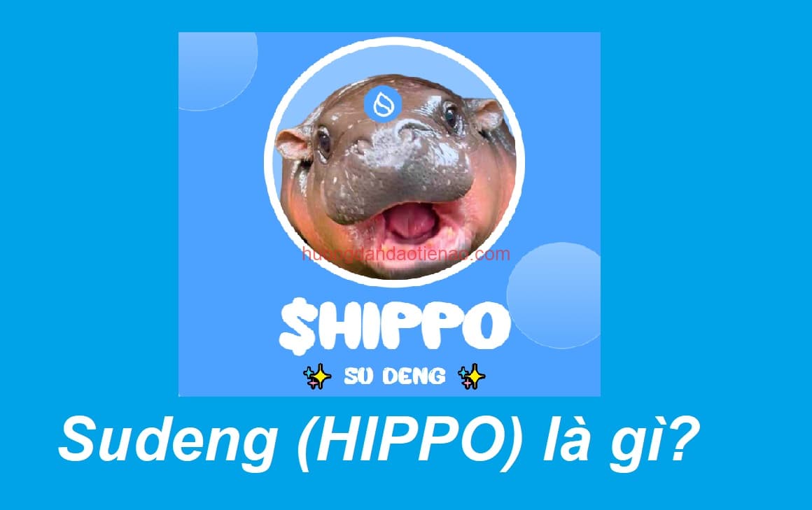 Sudeng (HIPPO) là gì? Chi tiết Meme Coin HIPPO